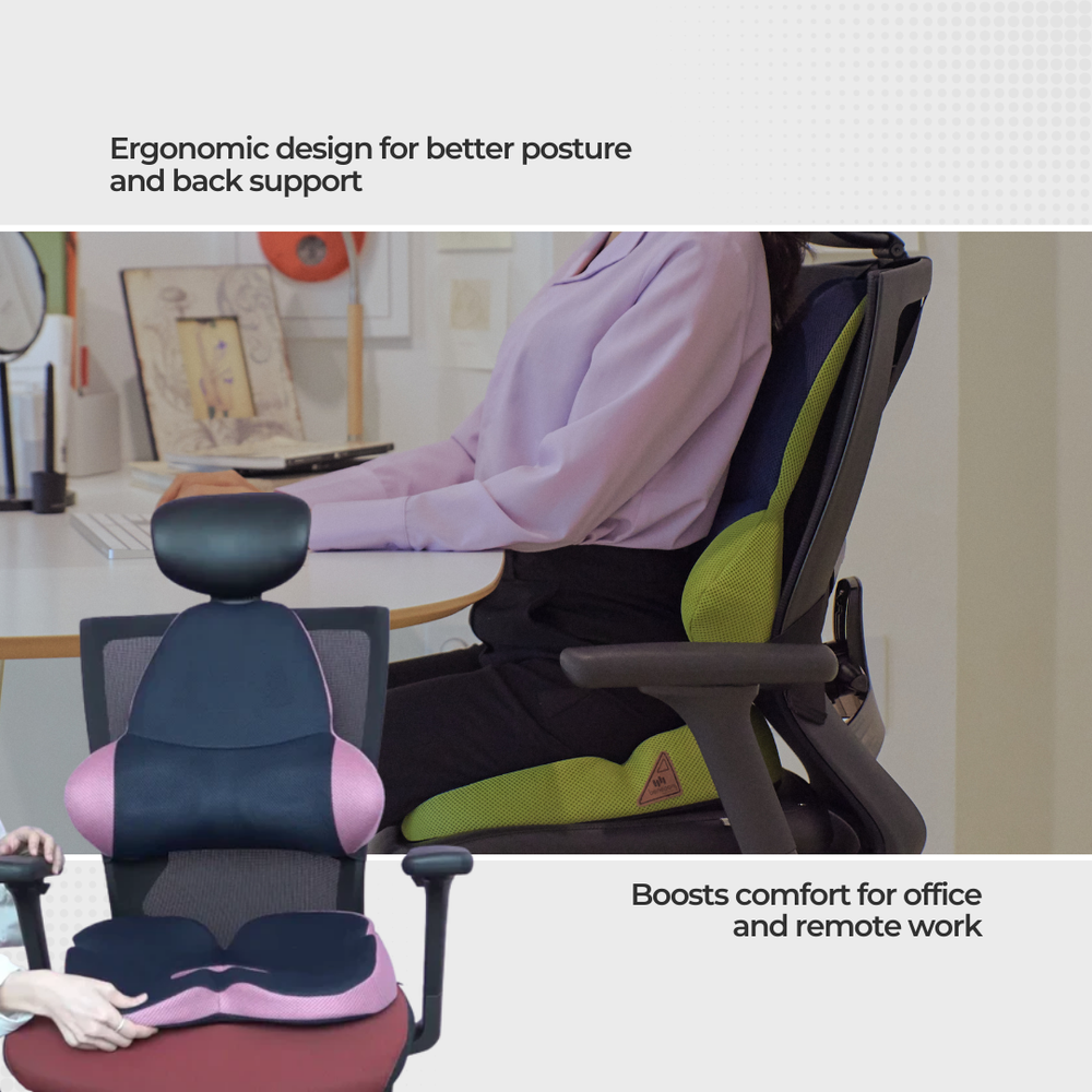 Ergonomic Back Rest Seat Cushion for Backbone Pain Support | Ergoworks