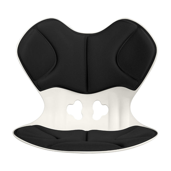 Ergonomic Back Rest Seat Cushion for Backbone Pain Support | Ergoworks