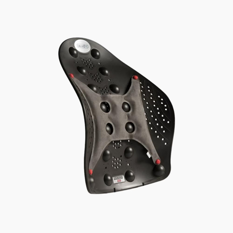 Ergonomic Back Rest Seat Cushion for Backbone Pain Support | Ergoworks