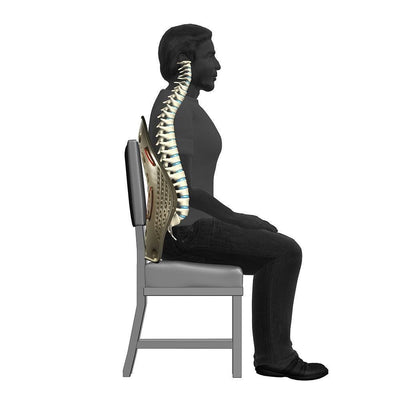 Ergonomic Back Rest Seat Cushion for Backbone Pain Support | Ergoworks