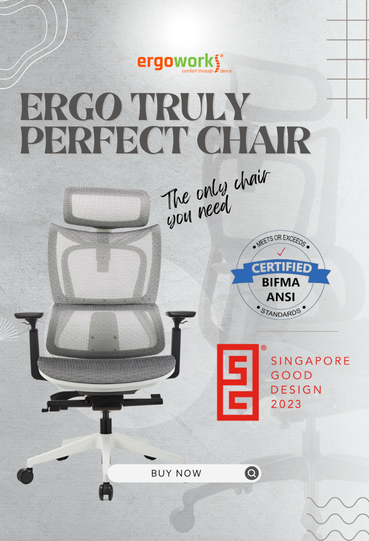 Ergonomic Furniture | Back-Care Solutions Malaysia | Ergoworks