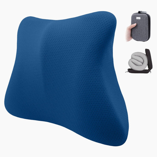 Ergonomic Back Rest Seat Cushion for Backbone Pain Support | Ergoworks