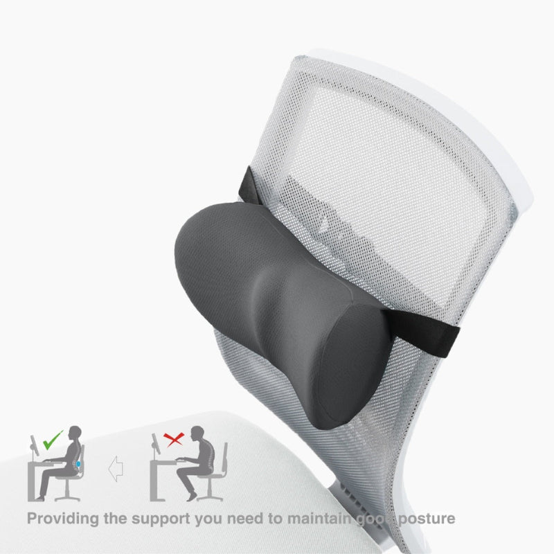 Ergonomic Seat Cushion for Backbone & Back Rest Support | Ergoworks