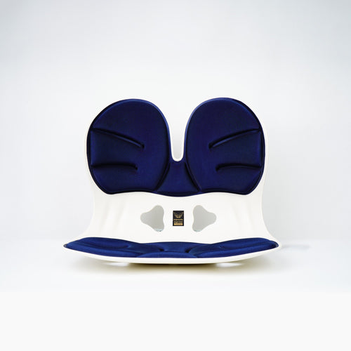 Ergonomic Back Rest Seat Cushion for Backbone Pain Support | Ergoworks