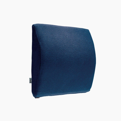 Ergonomic Back Rest Seat Cushion for Backbone Pain Support | Ergoworks