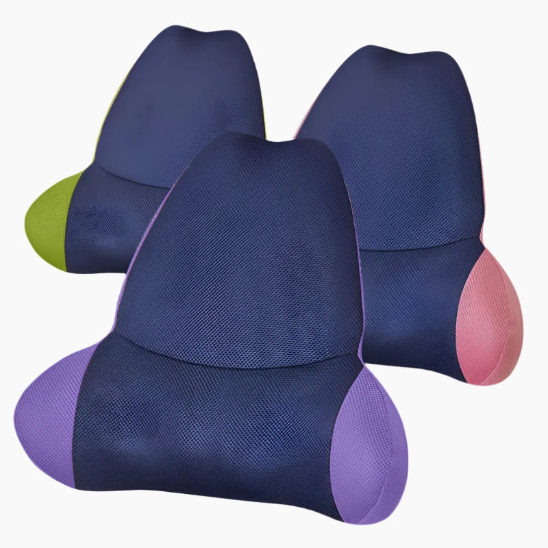 ERGOWORKS - EW-PPBL - Perfect Posture Backrest L