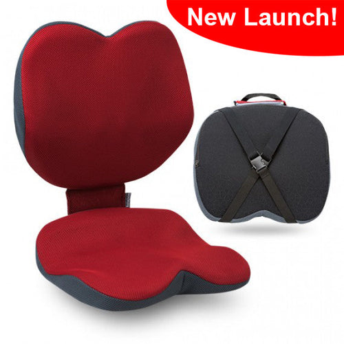 Ergonomic Back Rest Seat Cushion for Backbone Pain Support | Ergoworks