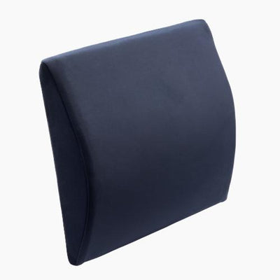 Ergonomic Back Rest Seat Cushion for Backbone Pain Support | Ergoworks